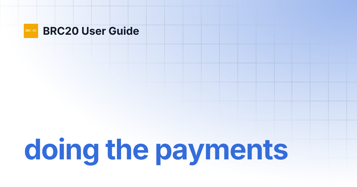 doing the payments | BRC20 User Guide